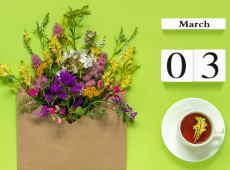 Numerology & the Number 1: What January Means | Astrology Answers